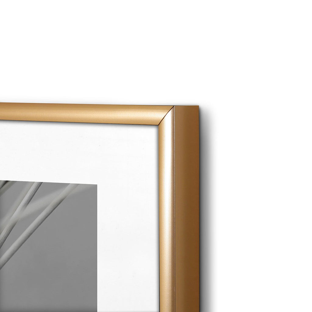 Gold Frame | 30x40 | Danish Art