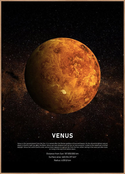 Venus | FRAMED PRINT | Danish Art